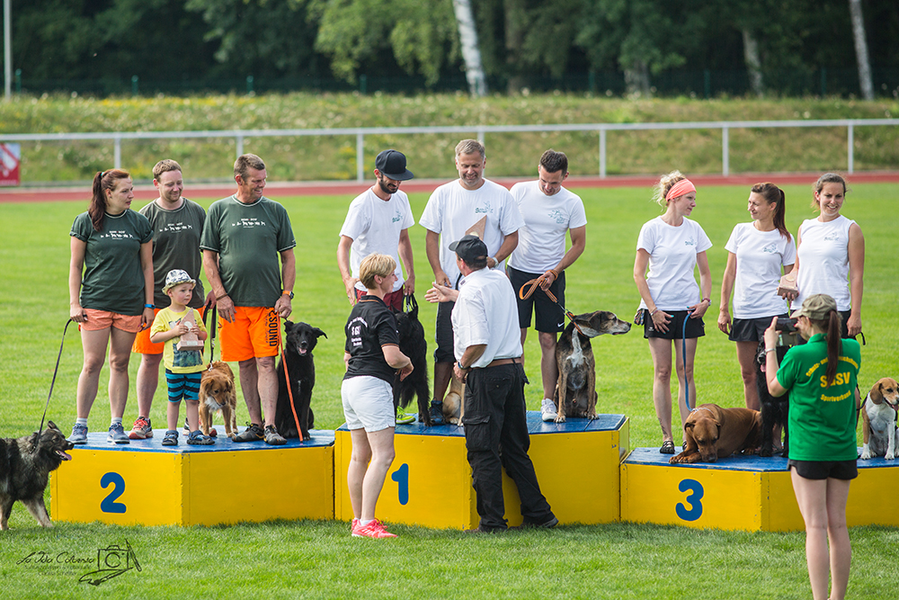 Limbacher Allerlei – Hundesportverein Quedlinburg/Harz 1909 e.V.